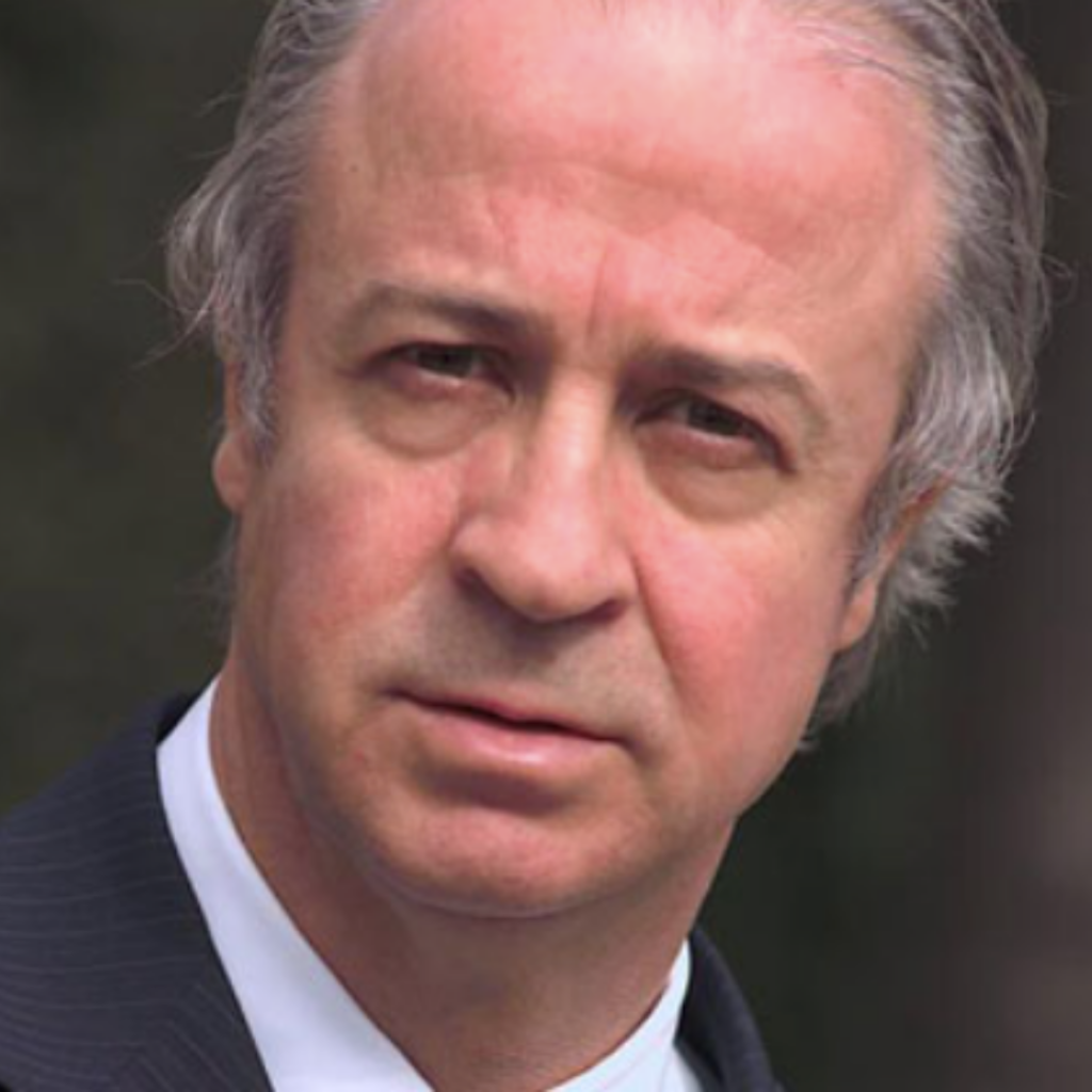 Patronato - Fundación Afectados y Afectadas Fibromialgia y Síndrome ...