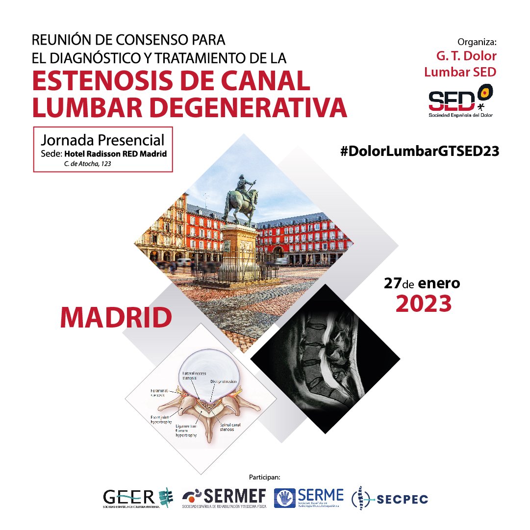 Reunión de consenso para el diagnóstico y tratamiento de la estenosis del canal lumbar ...